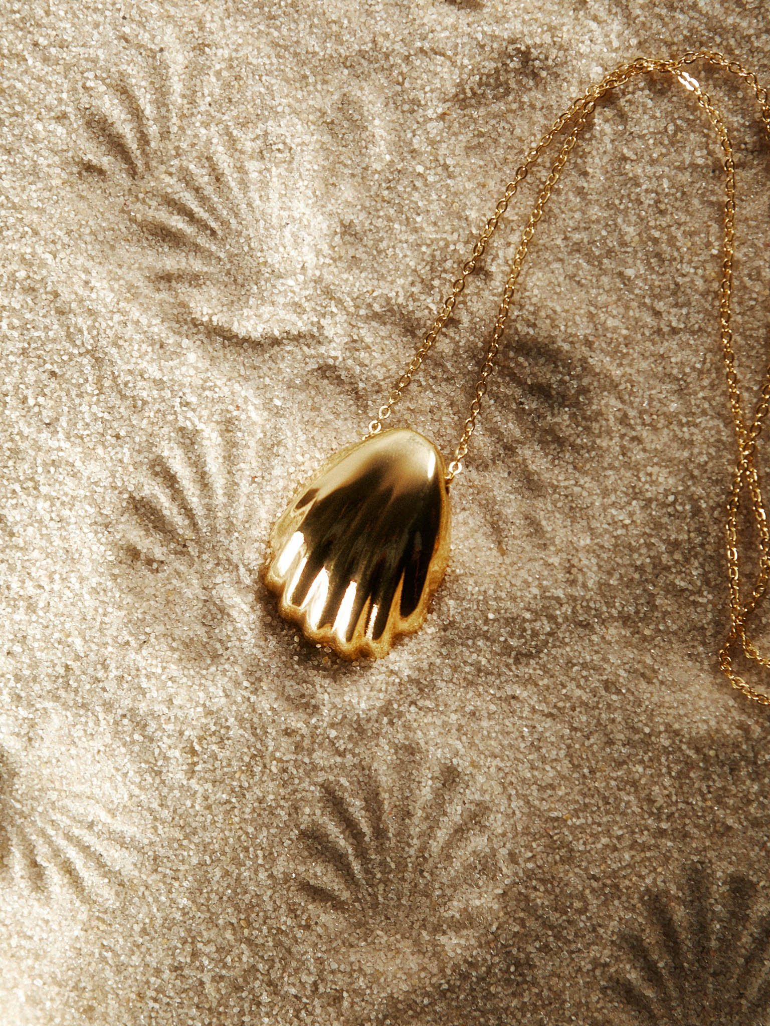 Slim chain with shell pendant :: LICHI - Online fashion store
